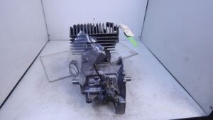 Polaris 250 2-Stroke 88-92 Engine Motor Rebuilt - Offroad Oasis